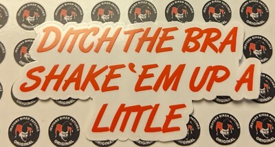 Ditch The Bra Shake em up Vinyl Sticker Off Road Sticker 4 x 4 | eBay