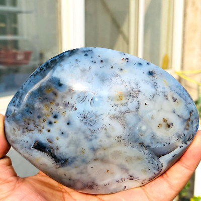 534g Dendritic Chalcedony Agate Crystal Palm Stone Picture Landscape ...