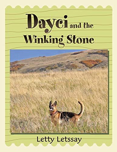 Dayci and the Winking Stone 9781514490624| eBay
