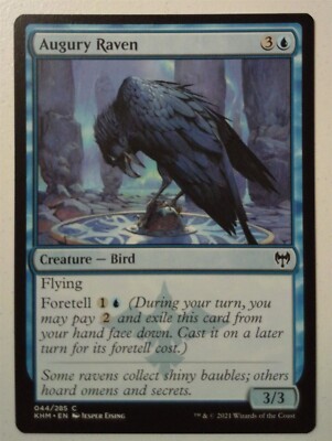Augury Raven *PLAYSET* Magic MtG x4 Kaldheim | eBay