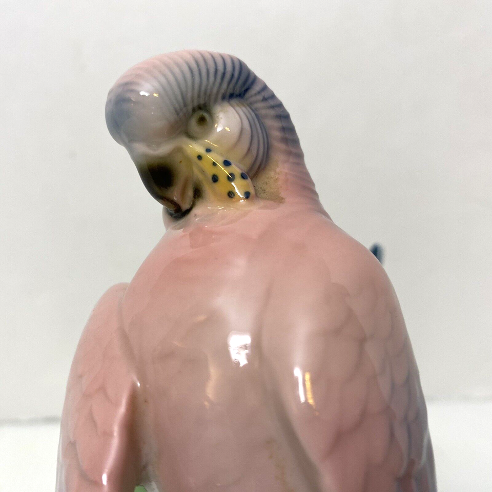 Wilhelm Rittirsch Dresden Porcelain Parakeet Parrot Bird Figurine Not ...
