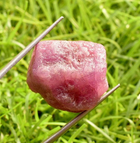 100.00% Natural Mozambique Pinkish Red Ruby Unheated Loose Raw Rough 65 ...