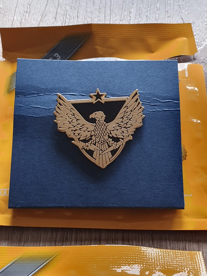 AUSWAHL CS:GO Pin Series 3 Collectible Pin+Ingame Code STEAM Valve CSGO ...