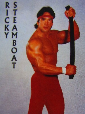 WWF PRO WRESTLING FROM HOUSTON 12-10-87 PRO WRESTLING DVD (W-1479) | eBay