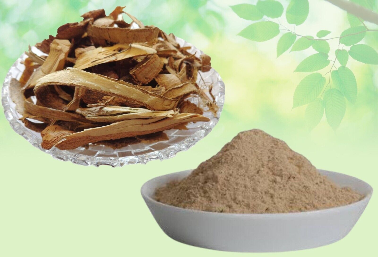 Holarrhena Antidysenterica-Kuda Chhal Powder-Kutaj Bark powder- Single ...