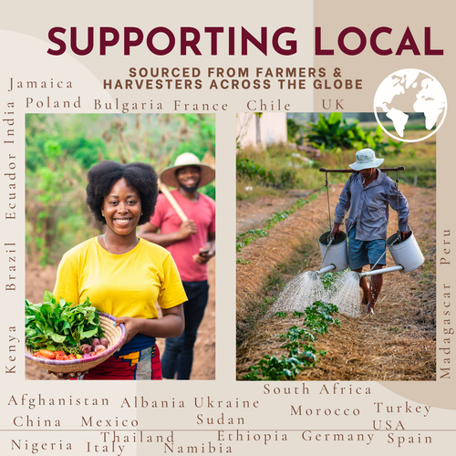 Sheep's Sorrel Dried Herb Tea Szczaw Polny High A Grade Nature Grown 5G ...