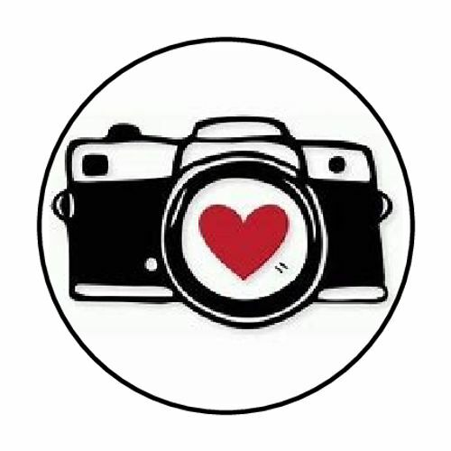 48 CAMERA HEART ENVELOPE SEALS LABELS STICKERS 1.2" ROUND | eBay