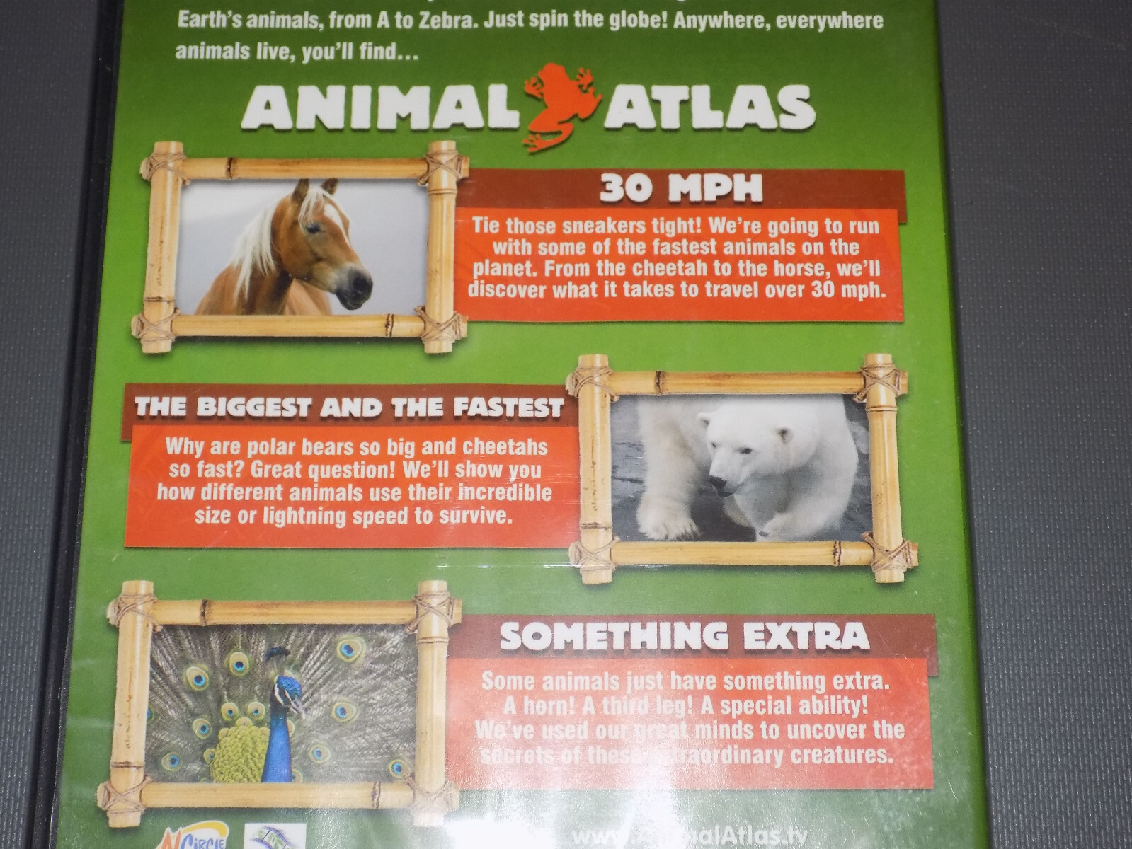 ANIMAL ATLAS SUPERHERO ANIMALS Fastest Biggest Cheetah Polar Bear DVD ...