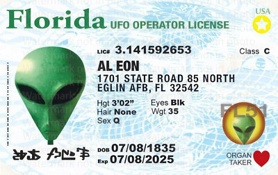 Florida Alien License Card Novelty ID | eBay