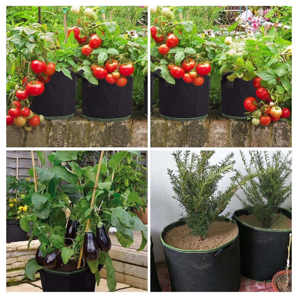 5 Pk 1gal Grow Bags Aeration Fabric Planter Root Growing Pots w/Handles ...