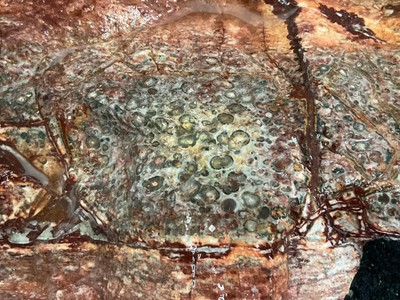 Z~ Leopard Skin Jasper Rough 7 Lbs | eBay