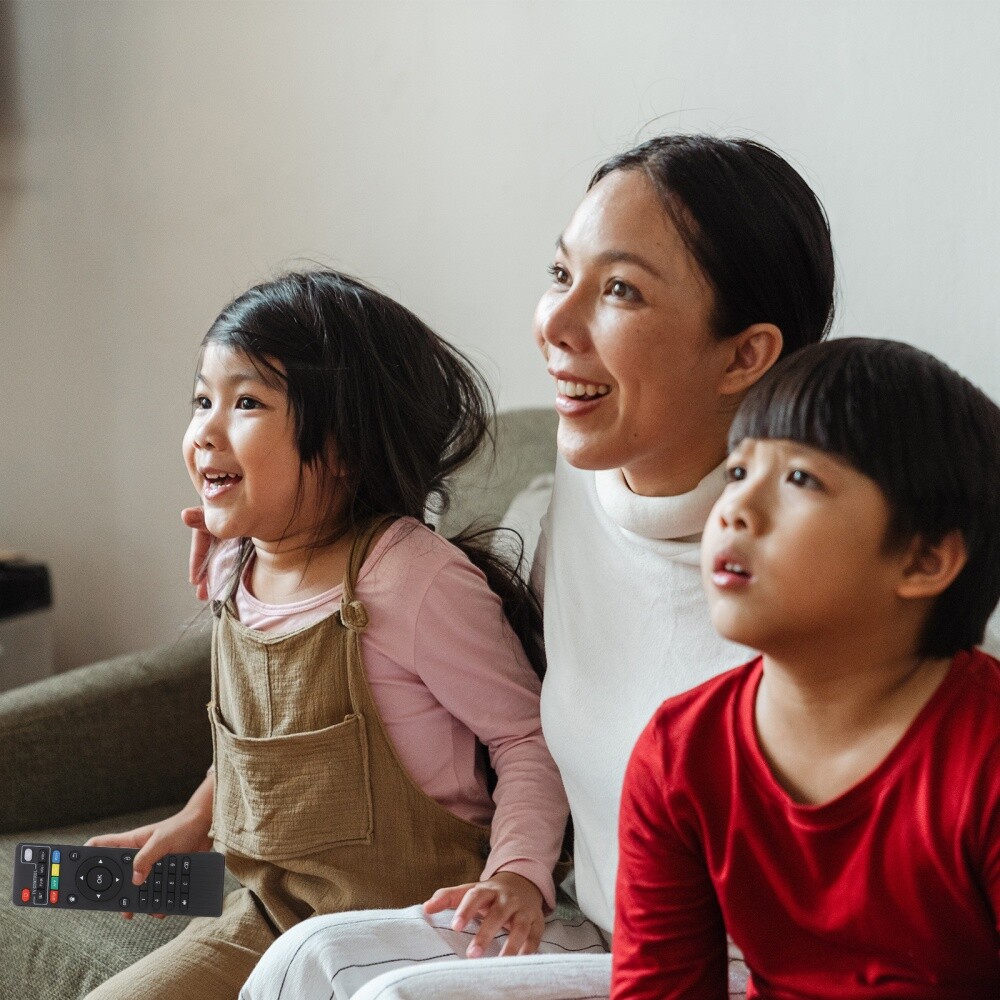 Remote Controller for Tv Pink Ceramic Plates Universal Set Top Box | eBay