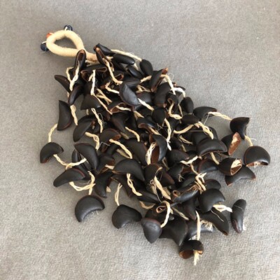 Cabalonga Nut Shell Shaker Rattle Shaman Waterfall Rain Sound Therapy ...