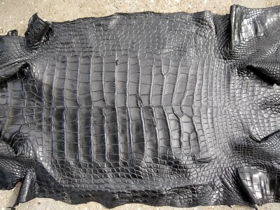 Genuine Wild American Alligator gator Hide Skin Pelt swamp leather BLK ...