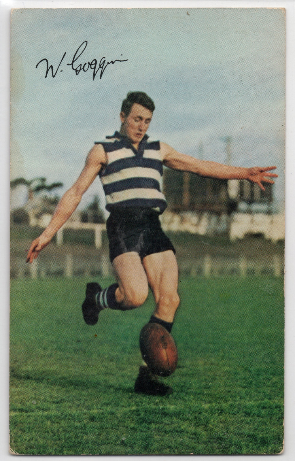 1965 VFL AFL MOBIL VICTORIAN FOOTBALL PHOTOS - 17 Bill GOGGIN (GEELONG ...
