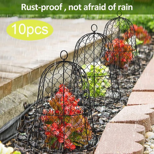 10 Pieces Plants Garden Cloches Mesh Plant Cages Keep Bunnies Chicken ...