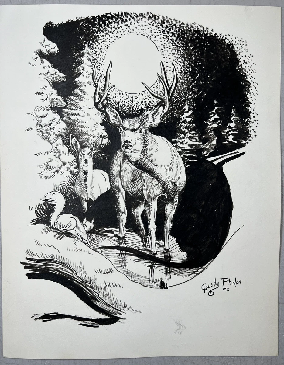 Buck And Doe Drawings
