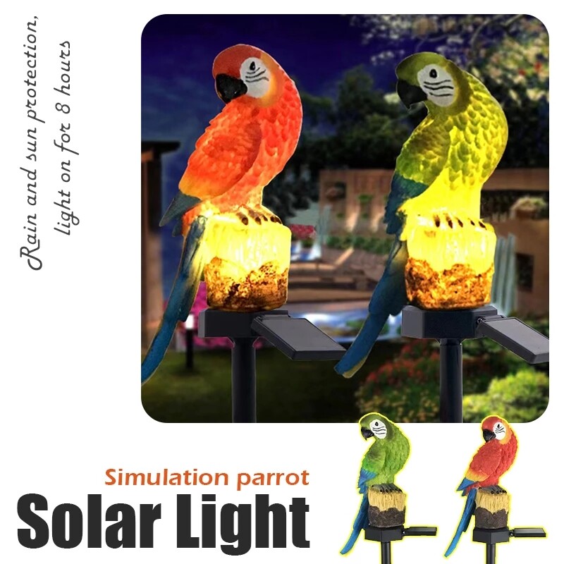 Do Parrots Need Lighting Benefits Of UVB Lighting For Companion Birds