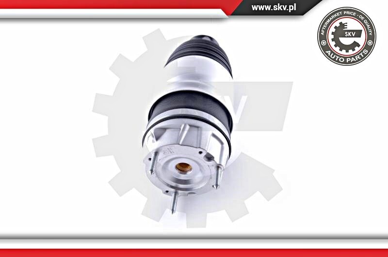 Gas Front Right Suspension Air Spring Fits PORSCHE Cayenne VW 10-18 ...