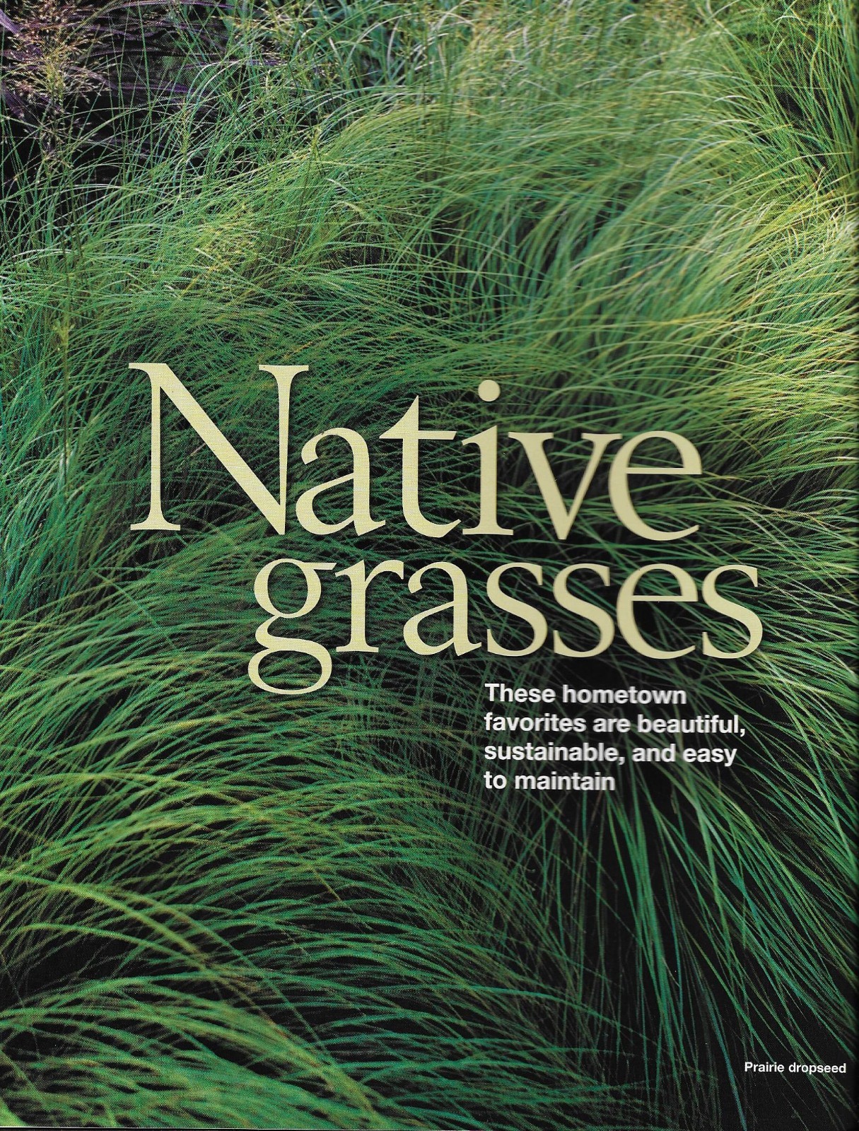 Fine Gardening Magazine High Impact Combo Plants Tight Space Trees Rain ...