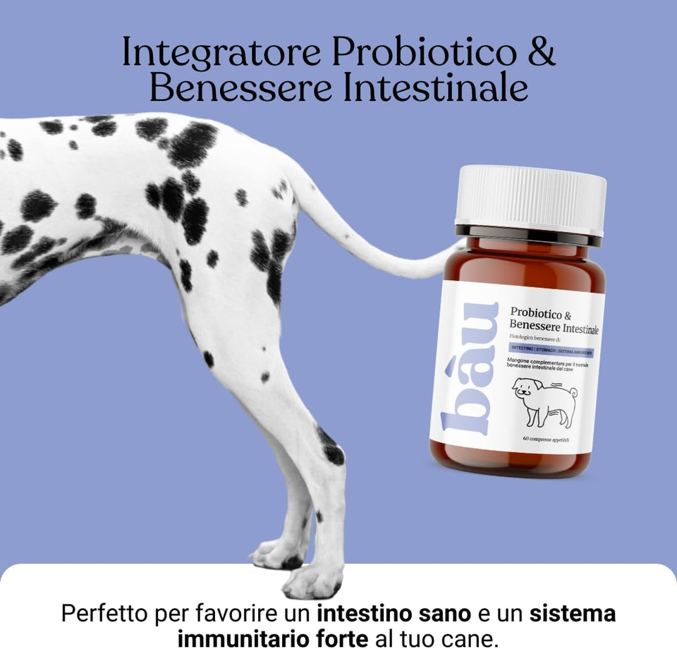 Probiotici per Cani, Fermenti Lattici Cane, Supporto Gastrointestinale ...