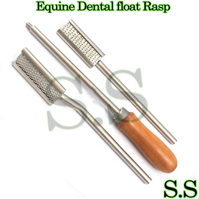 EQUINE DENTAL FLOAT RASP HORSE DOUBLED VETERINARY INSTRUMENT VT-159 | eBay