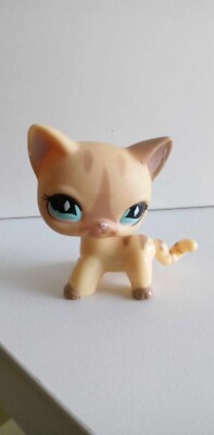 Littlest Petshop LPS #886 Cat Short Hair Kitty Authentique HASBRO 2006 ...