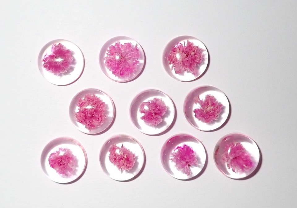 Plant Cabochon Baby's Breath Flower Specimen Round 13 mm Clear 3 pieces ...
