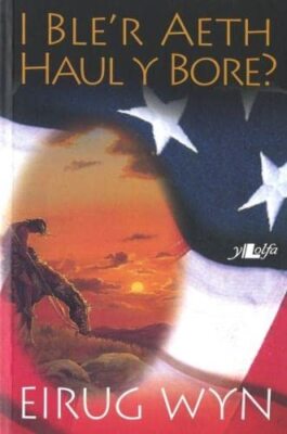 I Ble'r Aeth Haul y Bore? (Welsh Edition) By Eirug Wyn 9780862434359| eBay