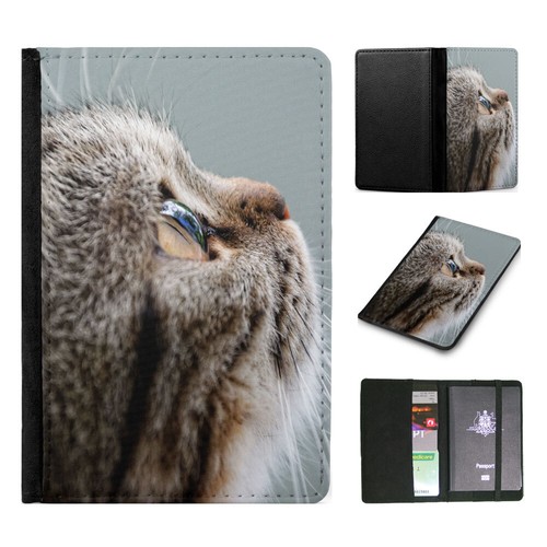 PASSPORT ITINERARY ORGANIZER|ADORABLE CAT KITTEN FELINE #60 | eBay ...