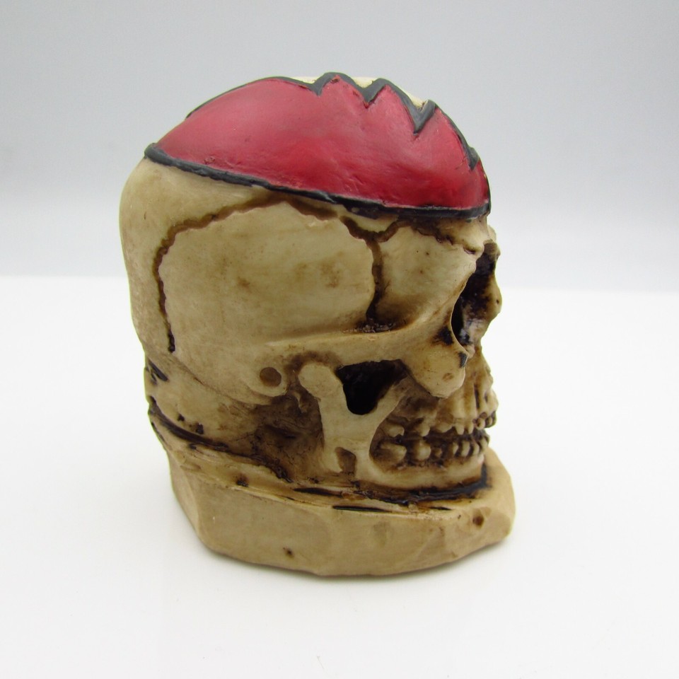 Skull Skeleton Head Deadhead Grateful Dead Skullywags Summit Collection ...