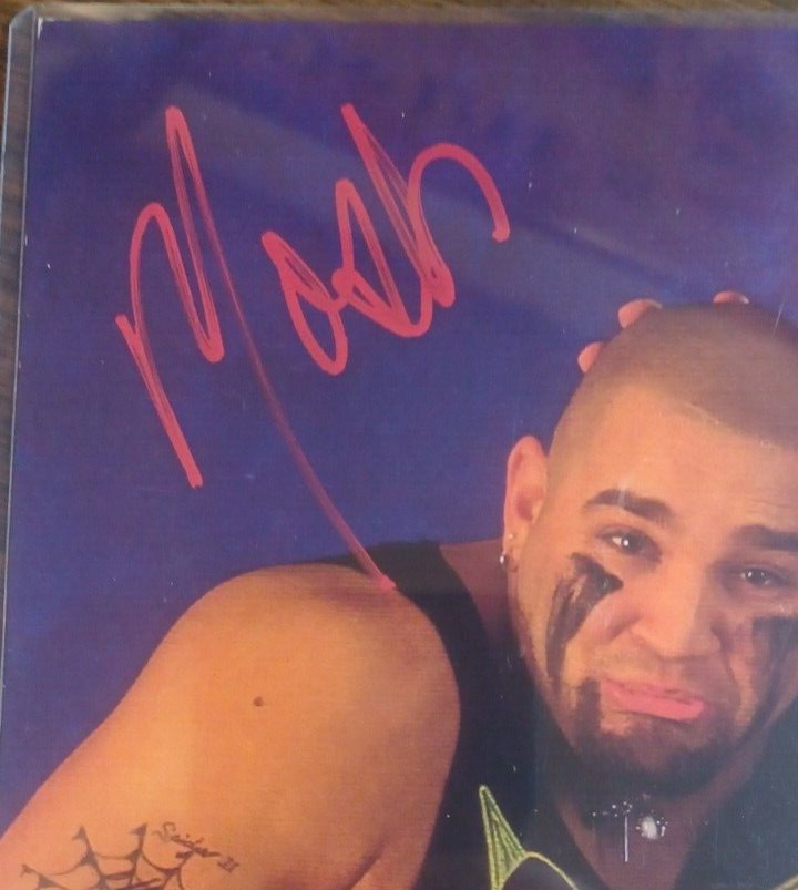 Headbangers Mosh and Thrasher Autographed 8x10 Photo WWE WWF | eBay