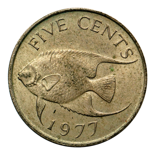 1977 Bermuda 5 Cents Coin, km16, Mintage 500,000 - Rare Coin 🇧🇲 | eBay