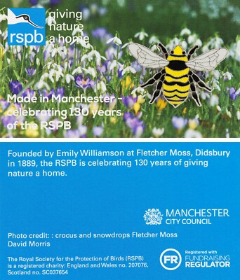 RSPB Pin Badge Made in Manchester Great Yellow Bumblebee P01424 | eBay UK