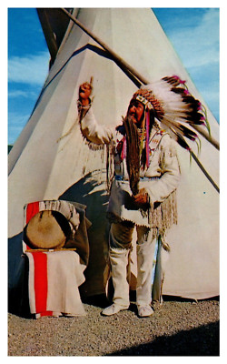 postcard Chief Eagle Ribs is Chief of the Blackfeet Indian Tribe ...