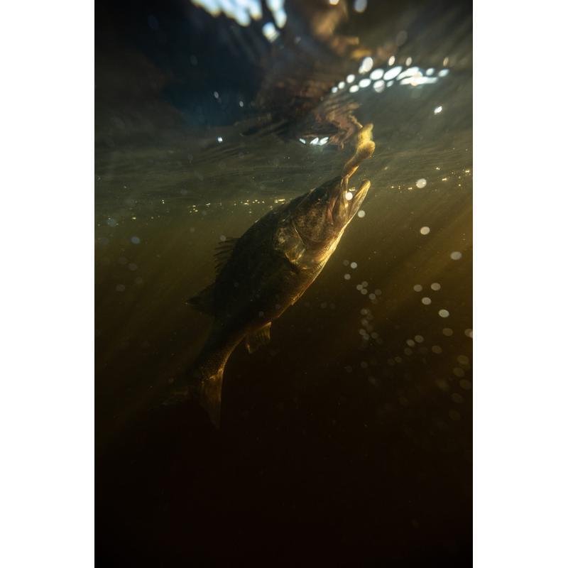 Pre-Rigged Soft Plastics Bass Fishing Kit Wacky Ned Neko Rigs Bait Bag ...