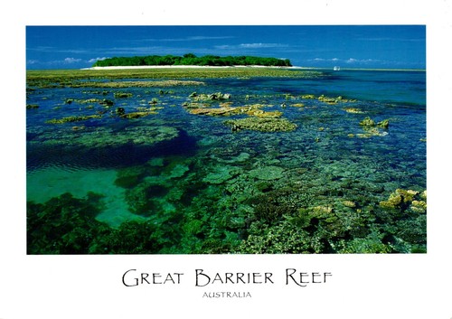 Great Barrier Reef Australia Postcard | eBay