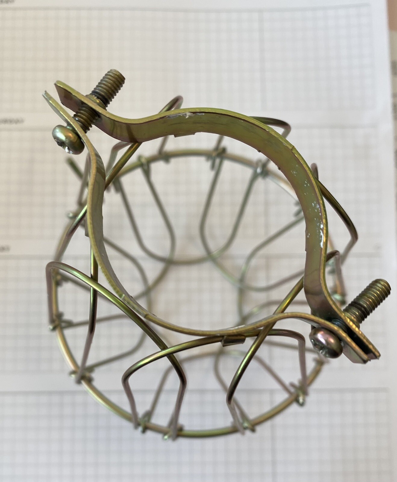 Steel Wire Bulb Cage - Clamp On Lamp Guard, Vintage Style Industrial ...