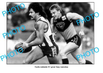 OLD 8x6 PHOTO NORTH ADELAIDE FC SANFL GREAT TONY ANTROBUS 1980s | eBay ...