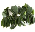Dried Ambarella/Spondias Dulcis Leaves Natural Organic Healthy Herbal ...
