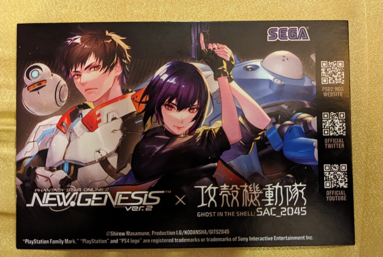 Anime Expo 2023 Phantasy star online 2 New Genesis PSO2 Bonus Items | eBay