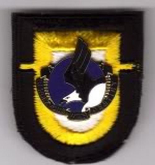 1st BDE - 101st AIRBORNE DIVISION - BERET FLASH & DI (CREST) OR 2nd OR ...