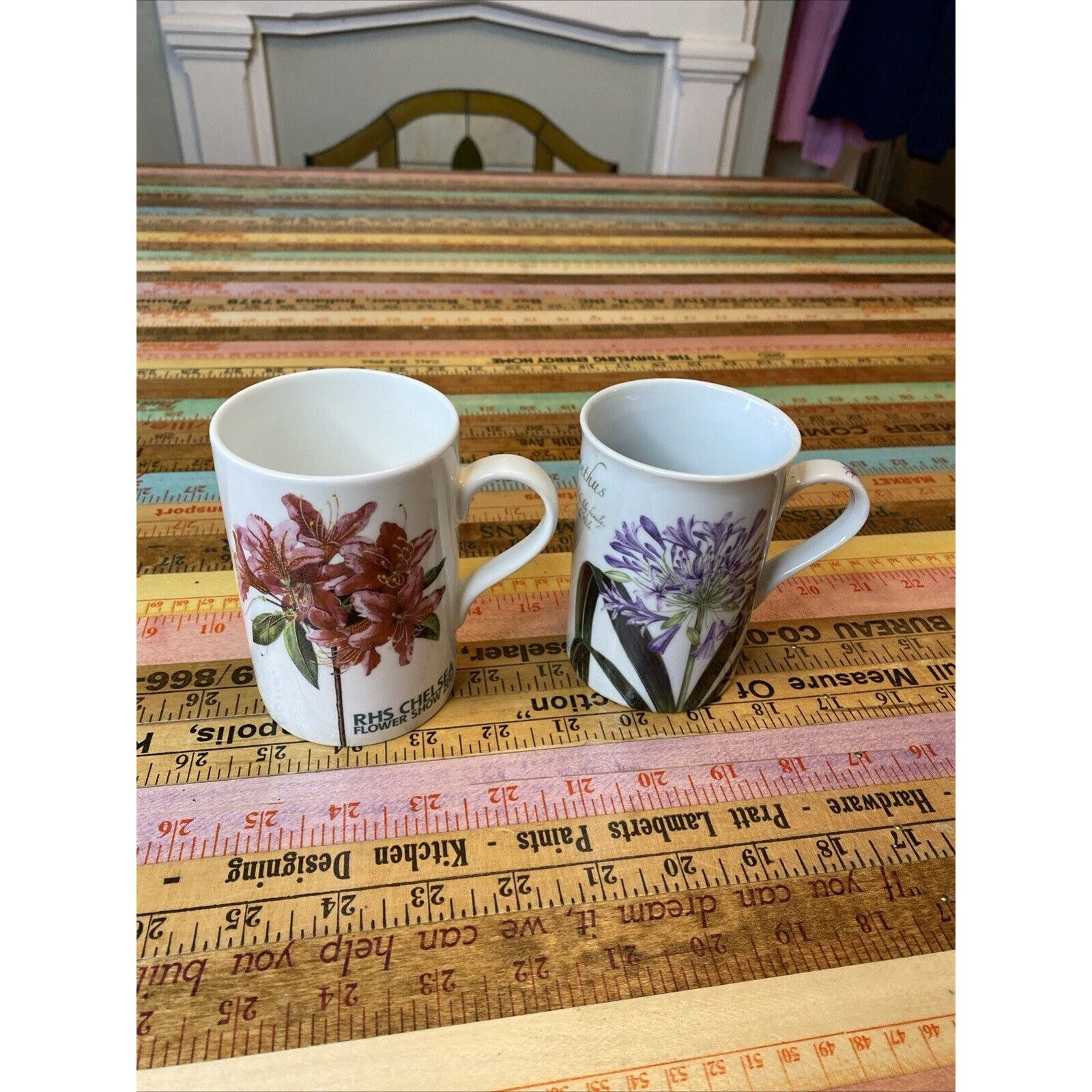 England "Agapanthus" Fine China Coffee Mug RHS Chelsea Flower Show 2011 ...