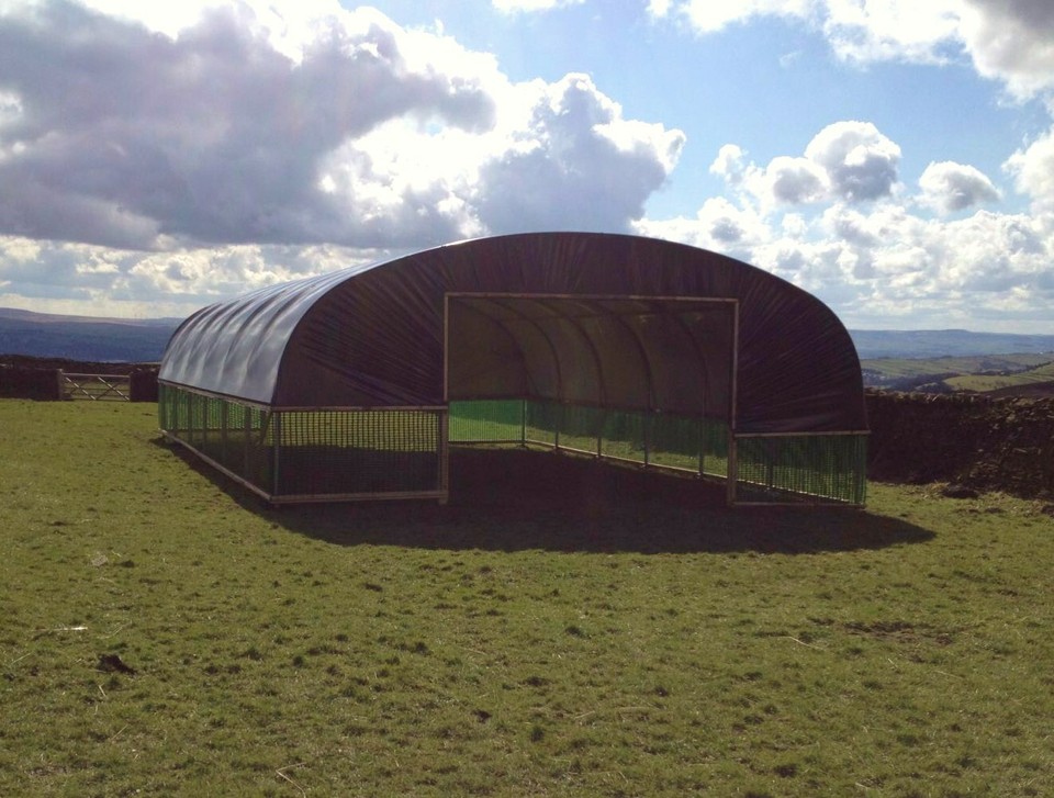 Livestock Shelter Sheep House Polytunnel Field Barn – 21ft Wide Sheep ...