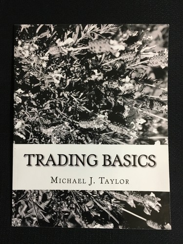 TRADING BASICS Guide by Michael Taylor How to Start Profitible ...