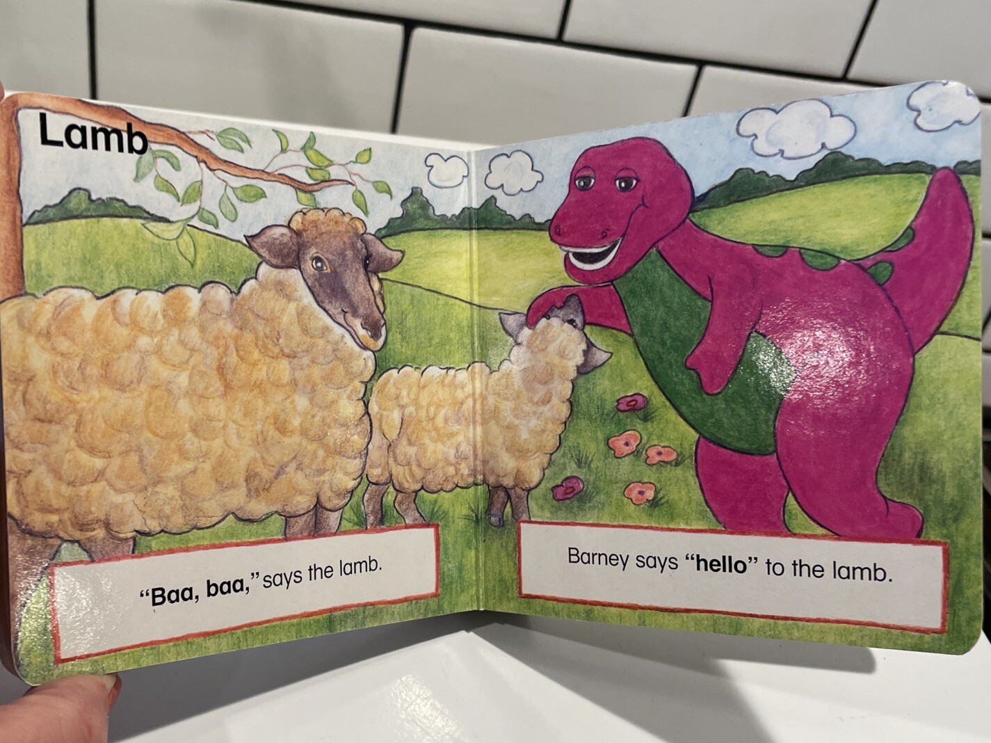 Vintage 1993 Barney’s Farm Animals 4”x4” Book | eBay