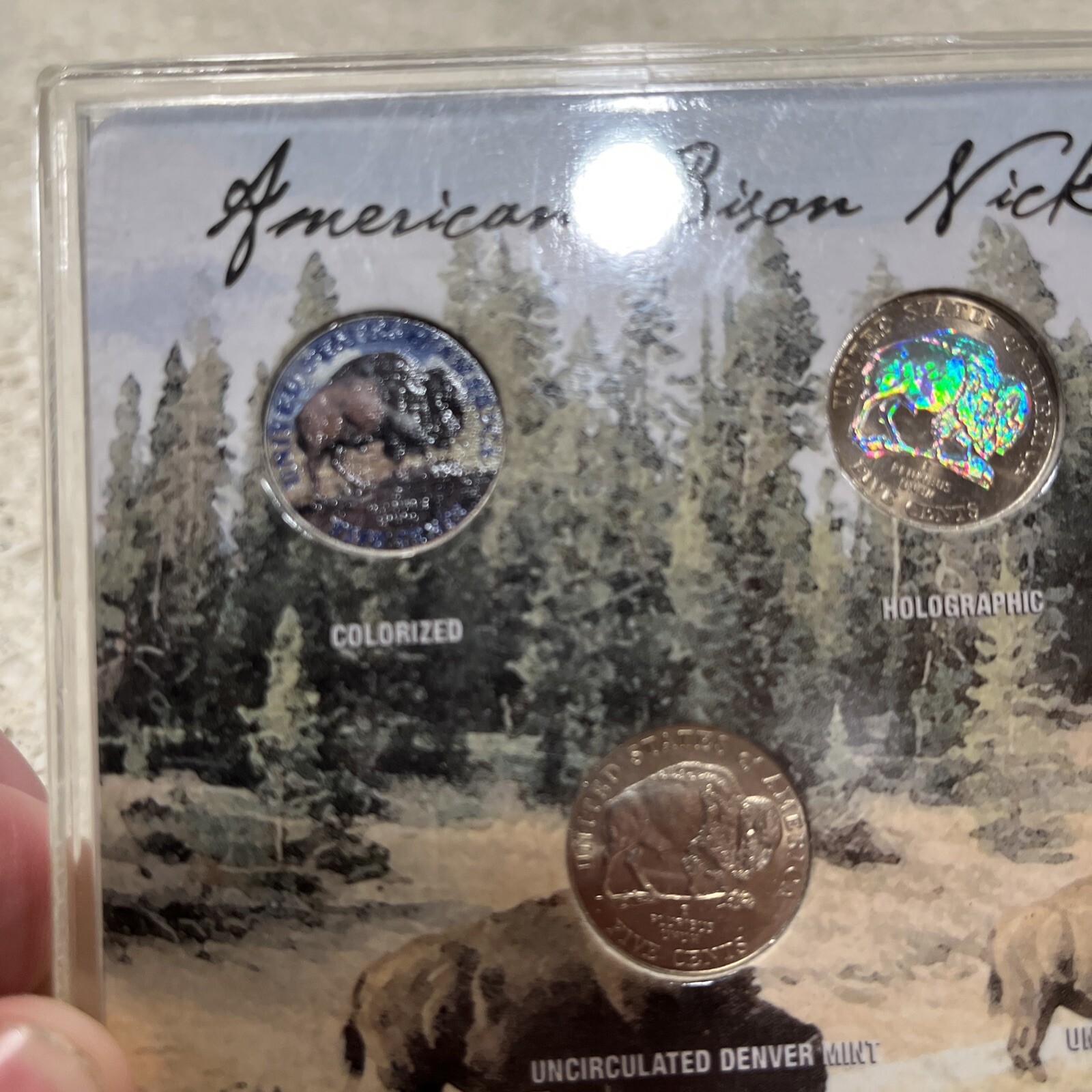 2005 American Bison Nickel Collection 5 Coin Set-Hologram, 24K Gold ...