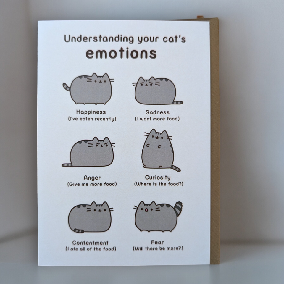 Pusheen The Cat Greeting Cards and Gift Wrap Tubby Tabby Cat Cartoon ...