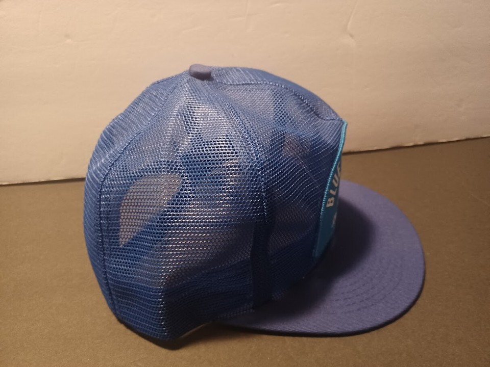 VTG Blue Ridge Dairy Spottswood, Virginia Patch Trucker Cap Hat Blue ...