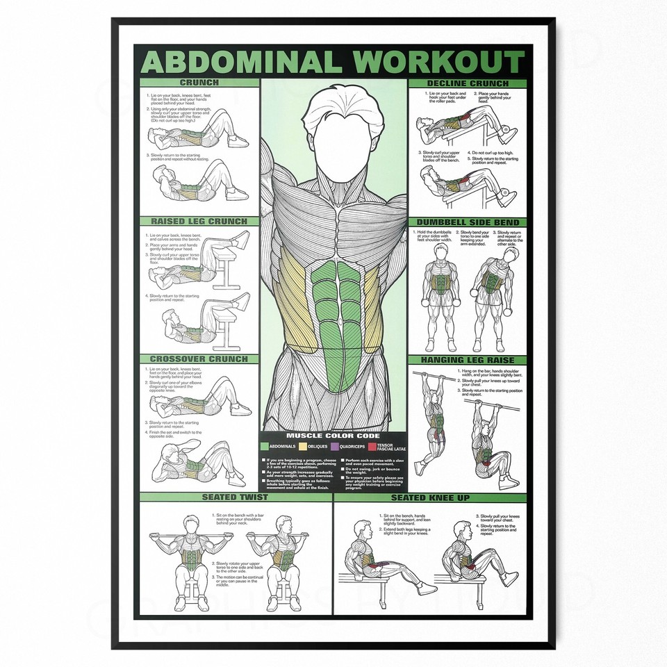 Gym Workout Poster All Body Chart Bicep, Tricep, Abs, Etc Exercises ...